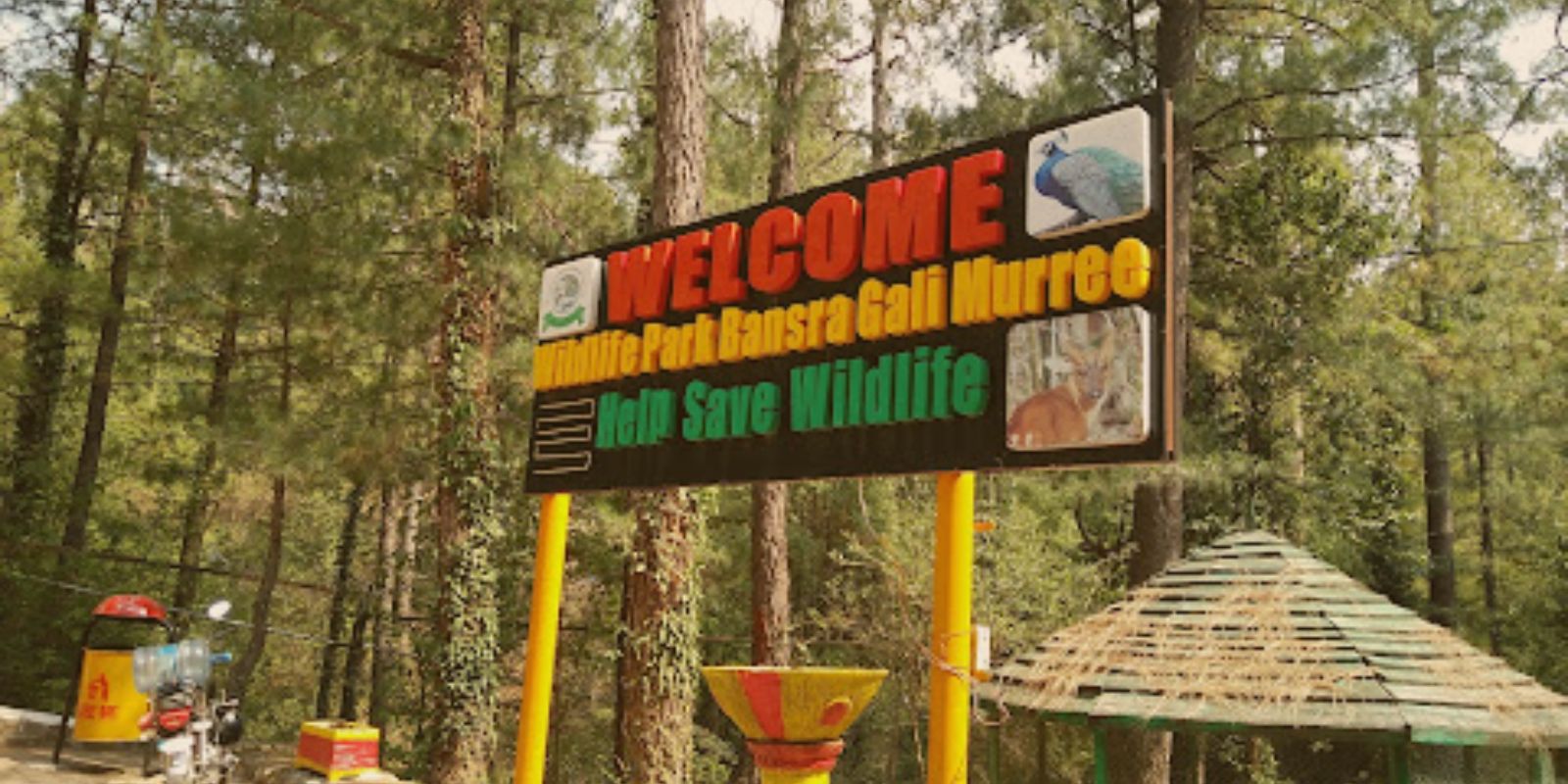 Top 5 Safari Parks In Pakistan - Foreignway