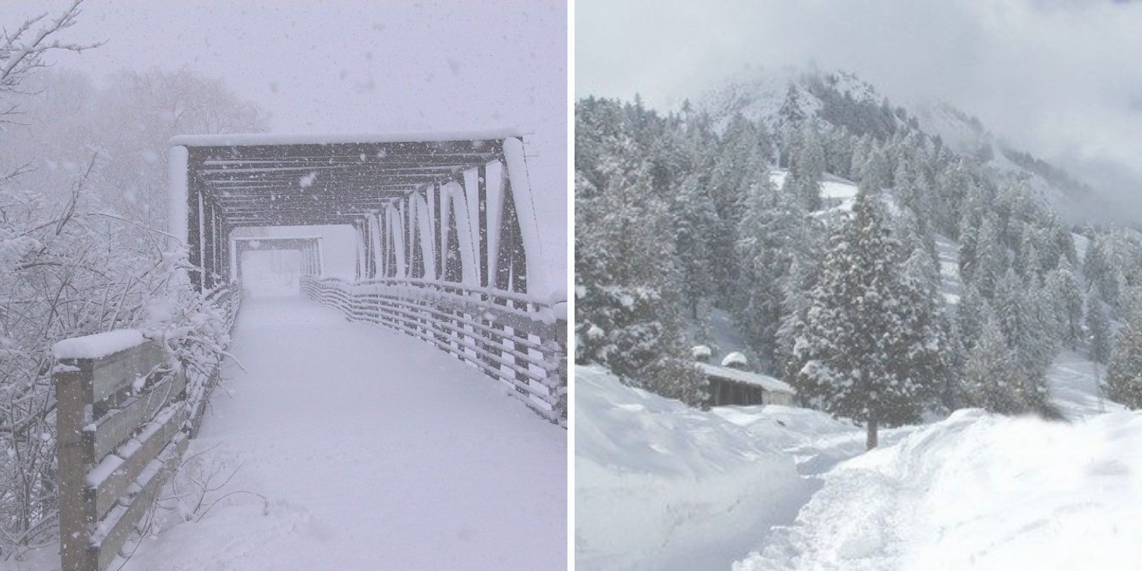 Murree Pakistan Snowfall: A Winter Wonderland Adventure - Foreignway